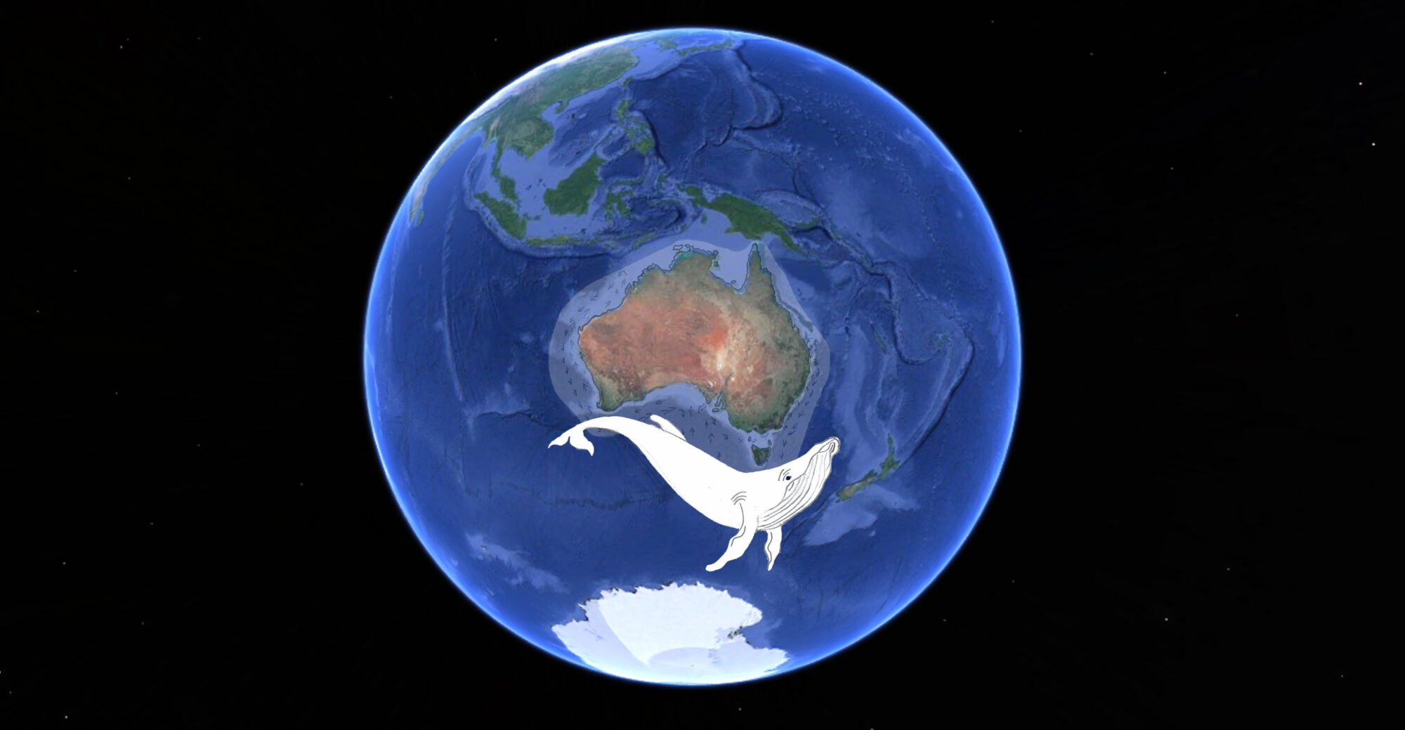 Australia Whale Peoples – whaledreaming.au