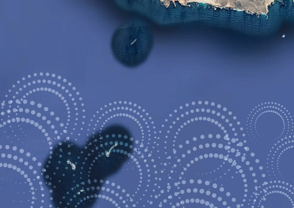 Billiam Wandana – Nuyts Reef – whaledreaming.au