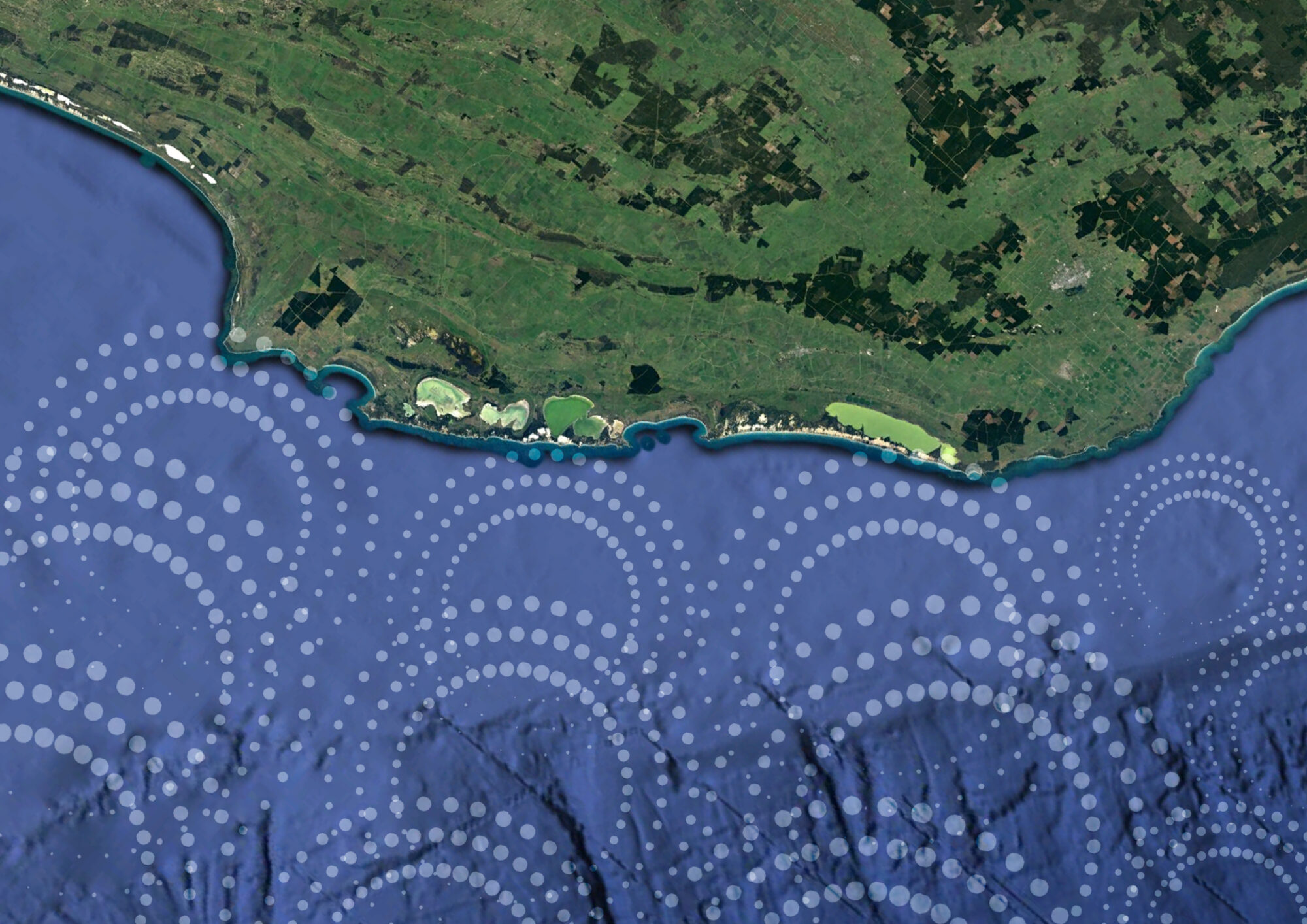 Meintangk – whaledreaming.au