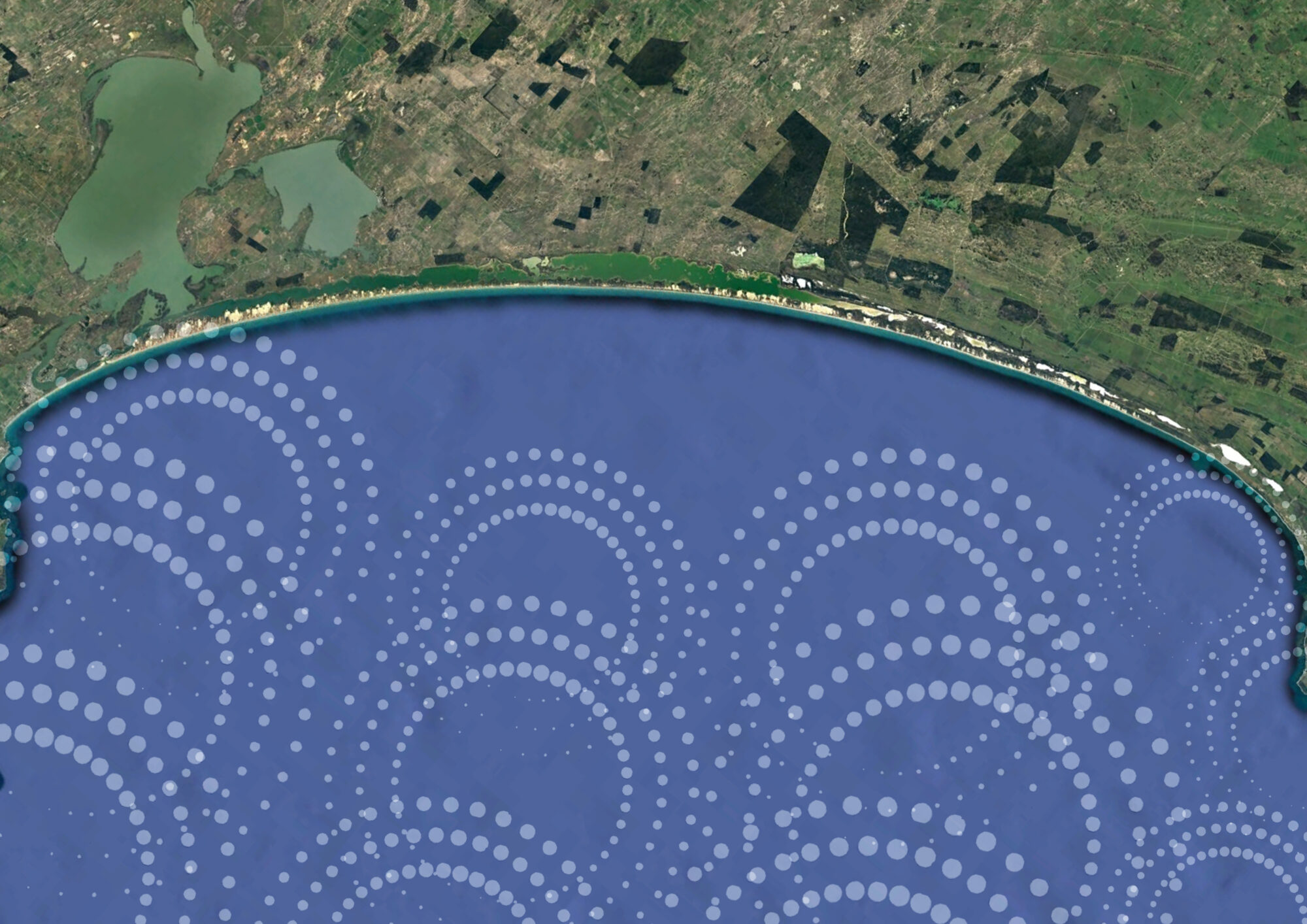 Tanganekald – whaledreaming.au