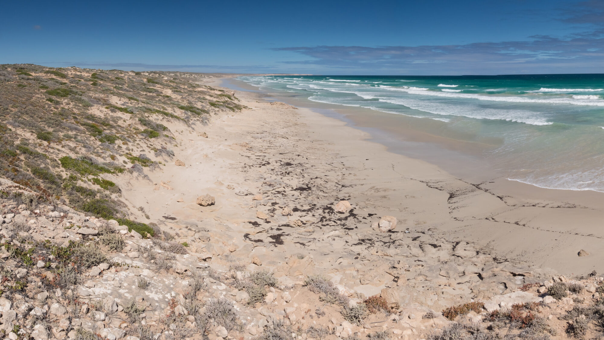 Wookatha – whaledreaming.au